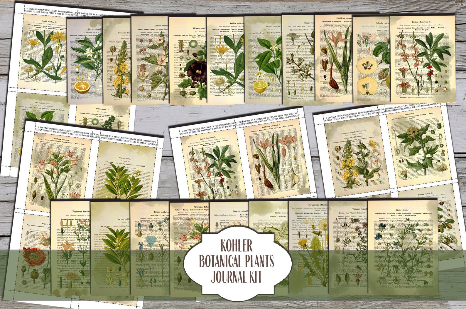 BUNDLE Kohler Botanical Junk Journal Kit, Botanical Journal, Ephemera ...