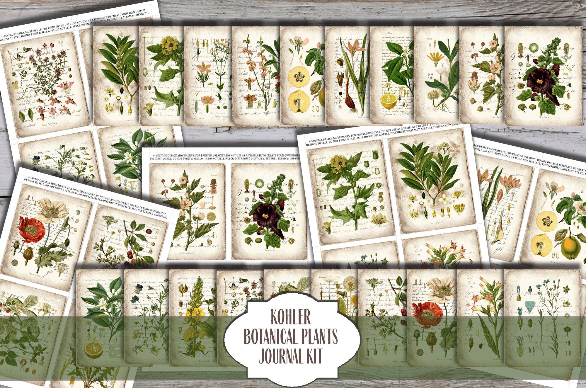 BUNDLE Kohler Botanical Junk Journal Kit, Botanical Journal, Ephemera ...