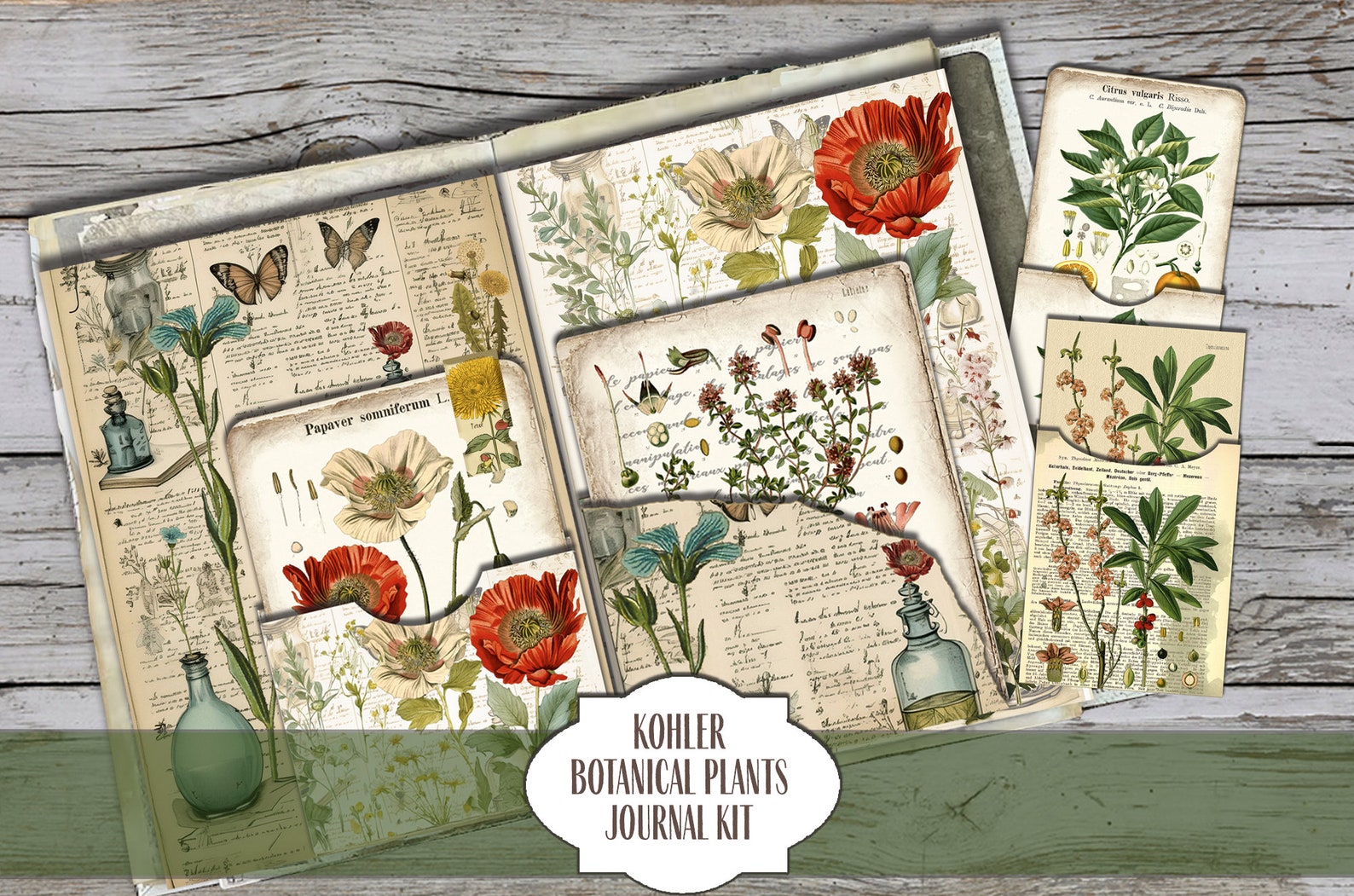 BUNDLE Kohler Botanical Junk Journal Kit, Botanical Journal, Ephemera ...
