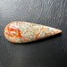 Coprolite Long Teardrop Cabochon… 15.5 X 40 X 5.5 Mm - Etsy