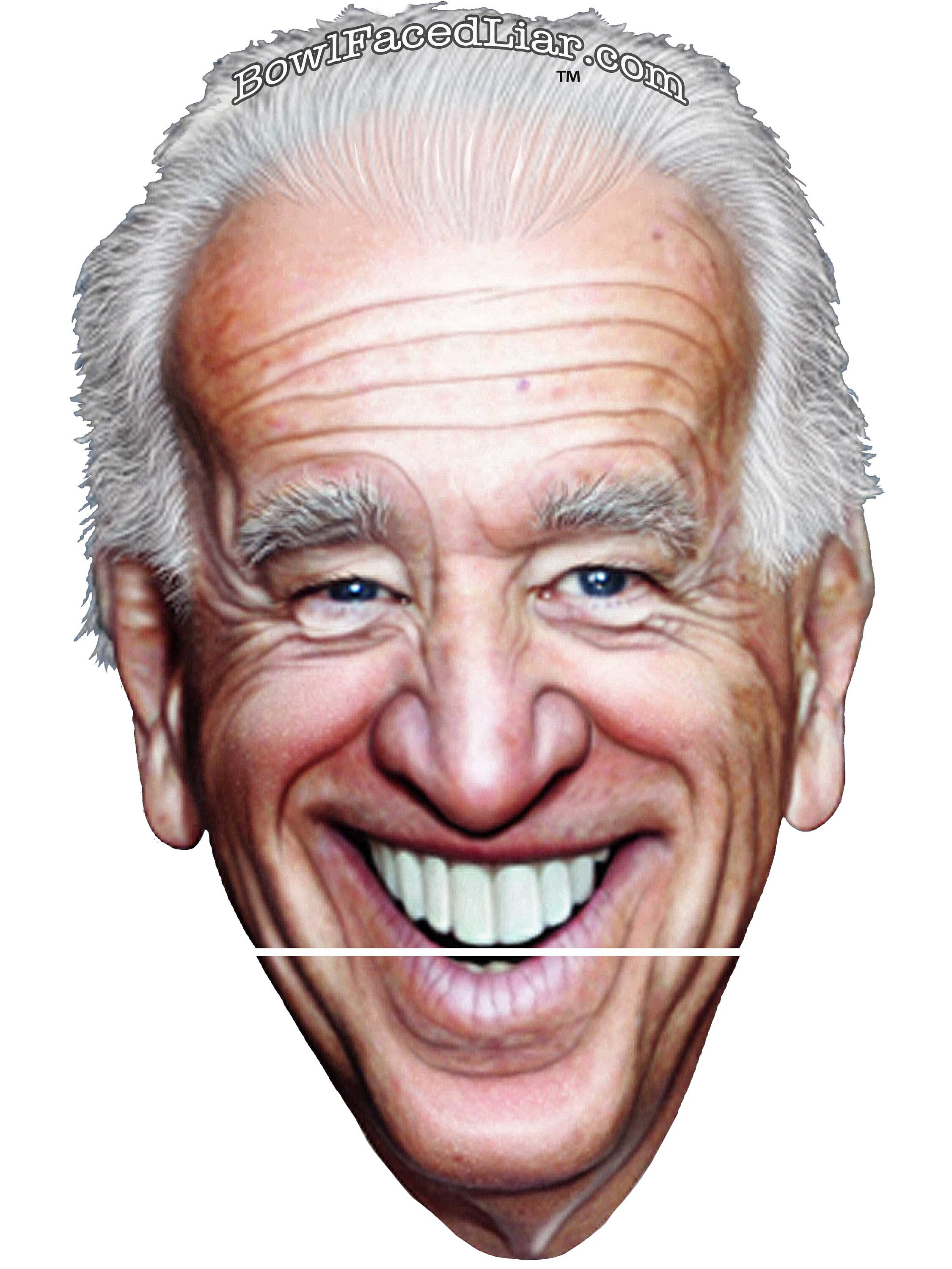 Biden Sticker