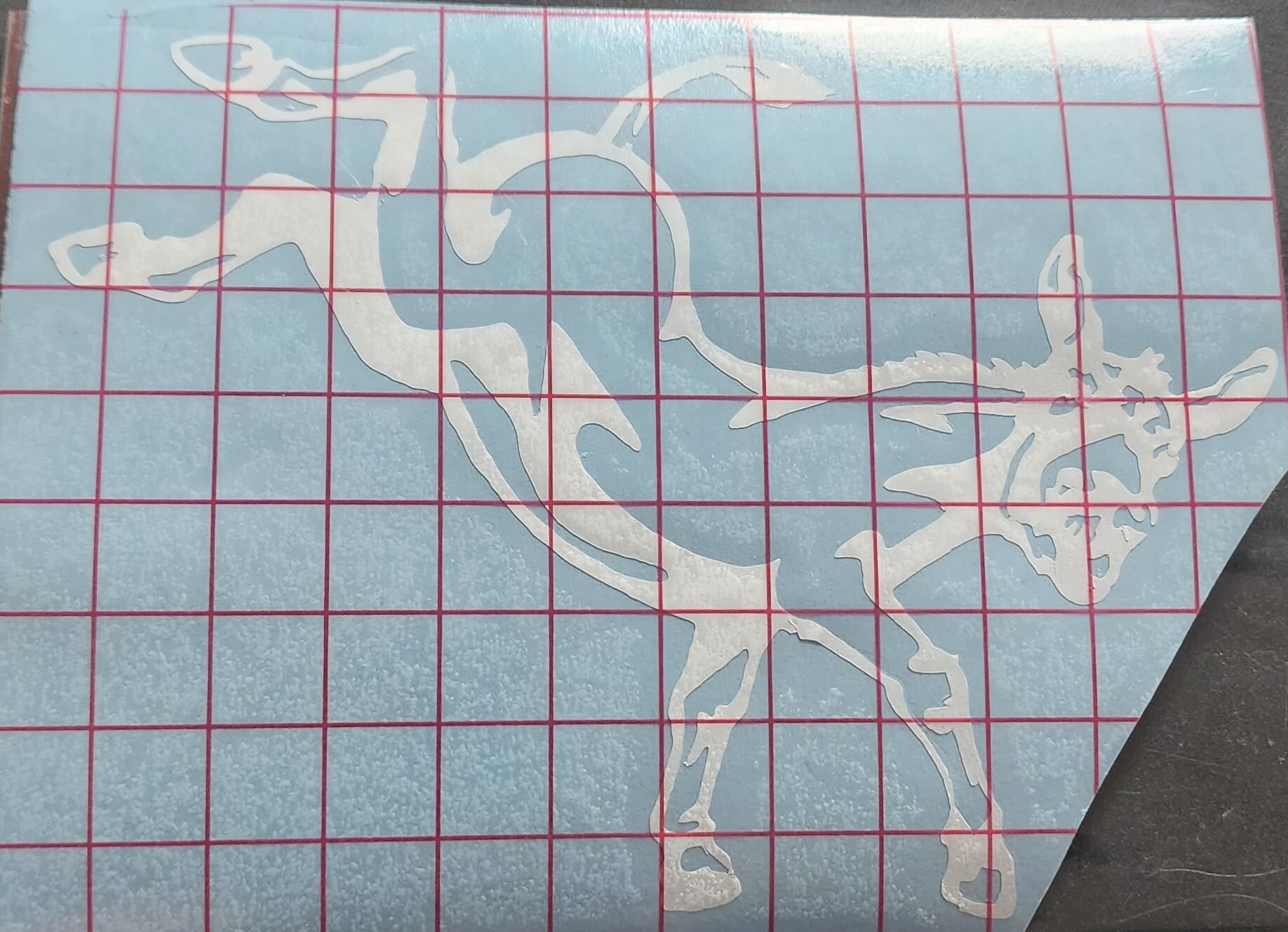 Donkey Kicking Decal - Etsy