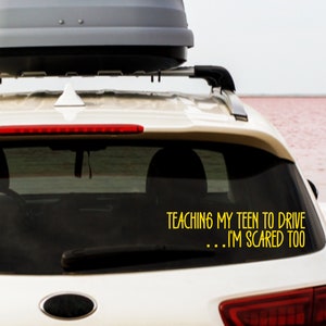 Funny Student Driver Vinyl Car Decal Sticker - Etsy
