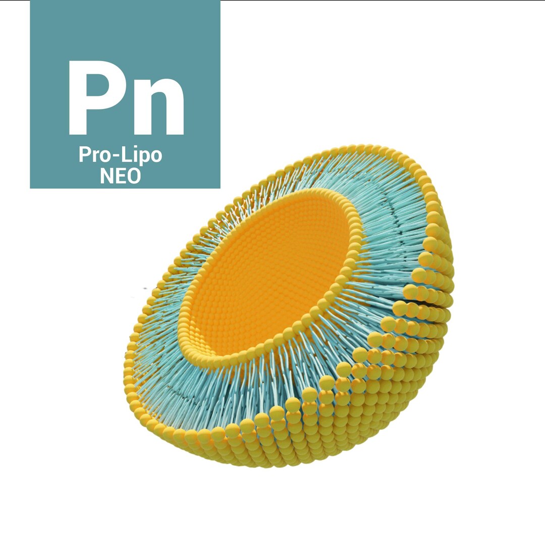 DIY Liposomes, Make Your Own Liposomes, Cosmetic Skincare Ingredients ...