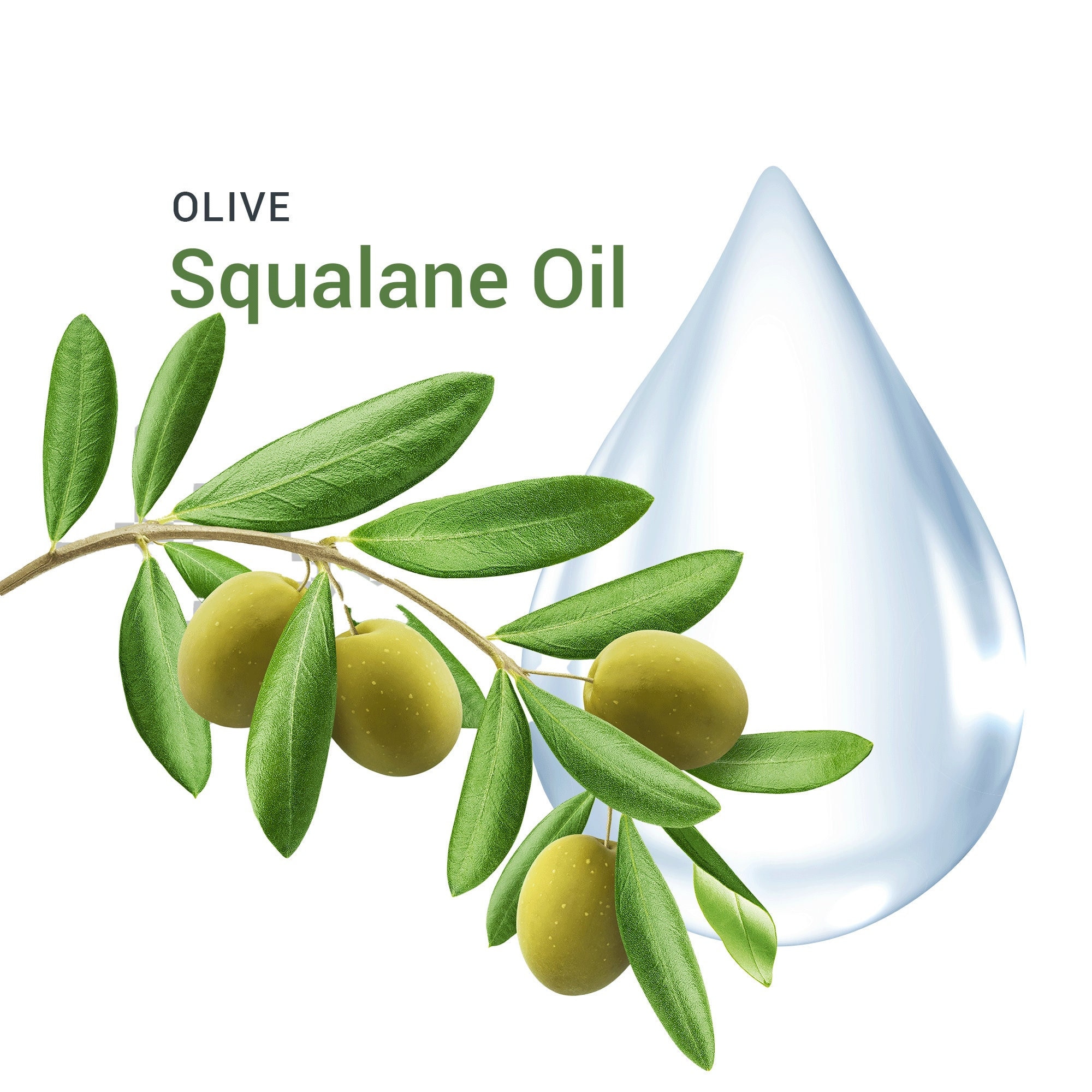 Squalane Oil Olive 8 Fl Oz - Etsy