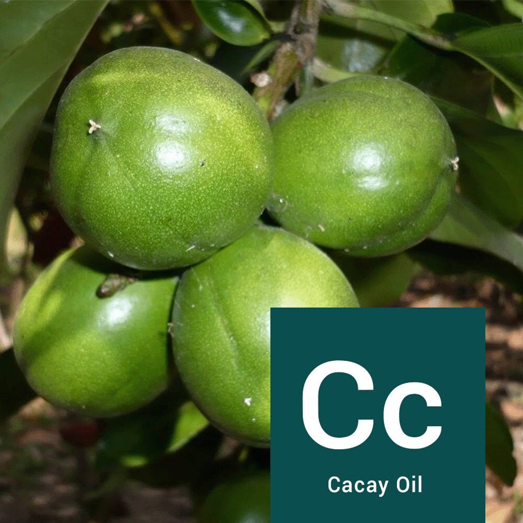 Virgin Cacay Nut Oil: Organic Cold Pressed, Wild Harvested, 8 Oz - Etsy