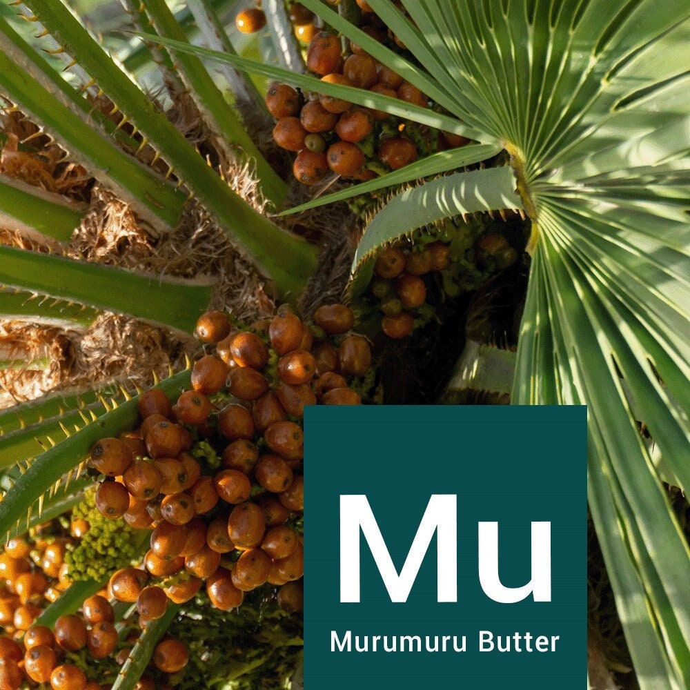 Murumuru Butter, Virgin, Unrefined, 1 Lb, Good for Body Butter, Lip ...