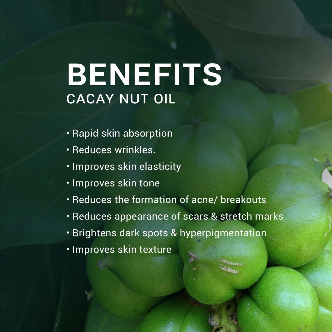 Cacay kahai Nut Oil 1 Oz Virgin Wild Harvested Organic - Etsy
