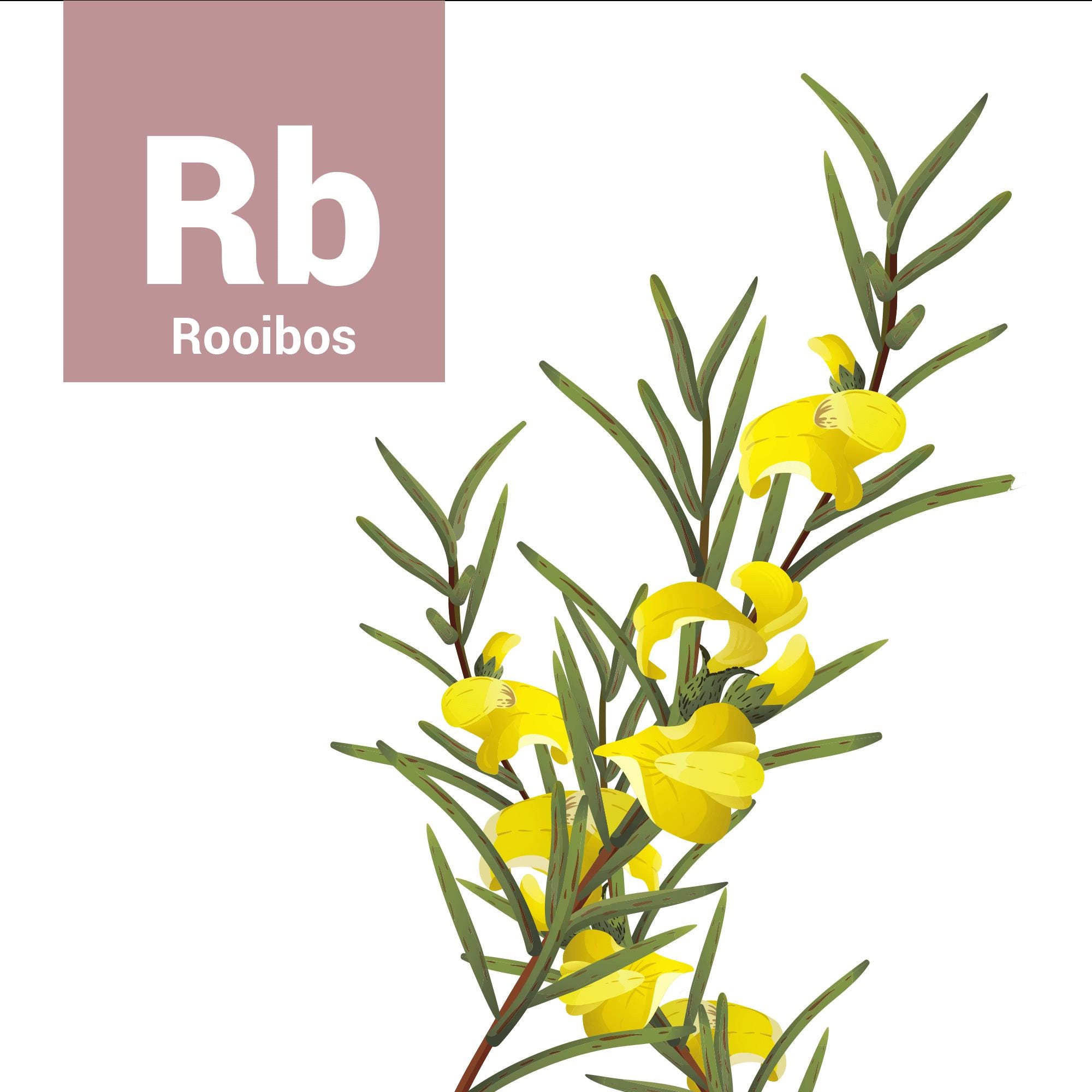 Rooibos Tea Extract, Organic Oil Soluble Cosmetic Ingredient, 2 Oz - Etsy