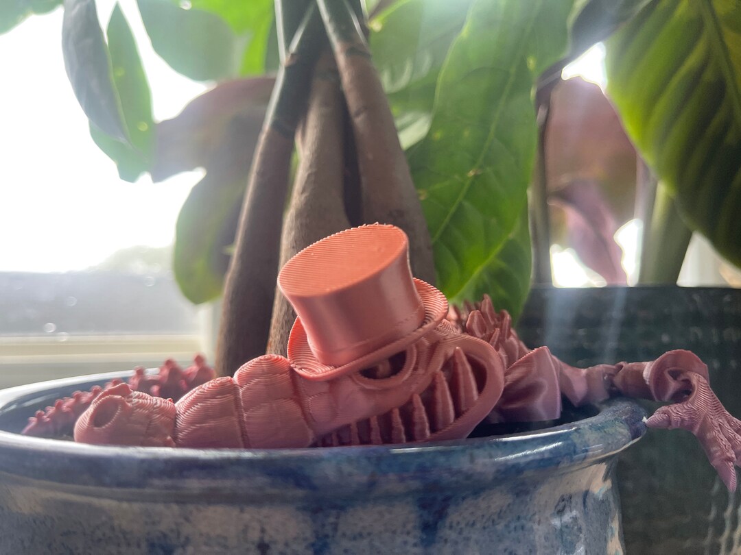 Fancy Flexi Crocodile - Articulated Fidget Toy - Etsy