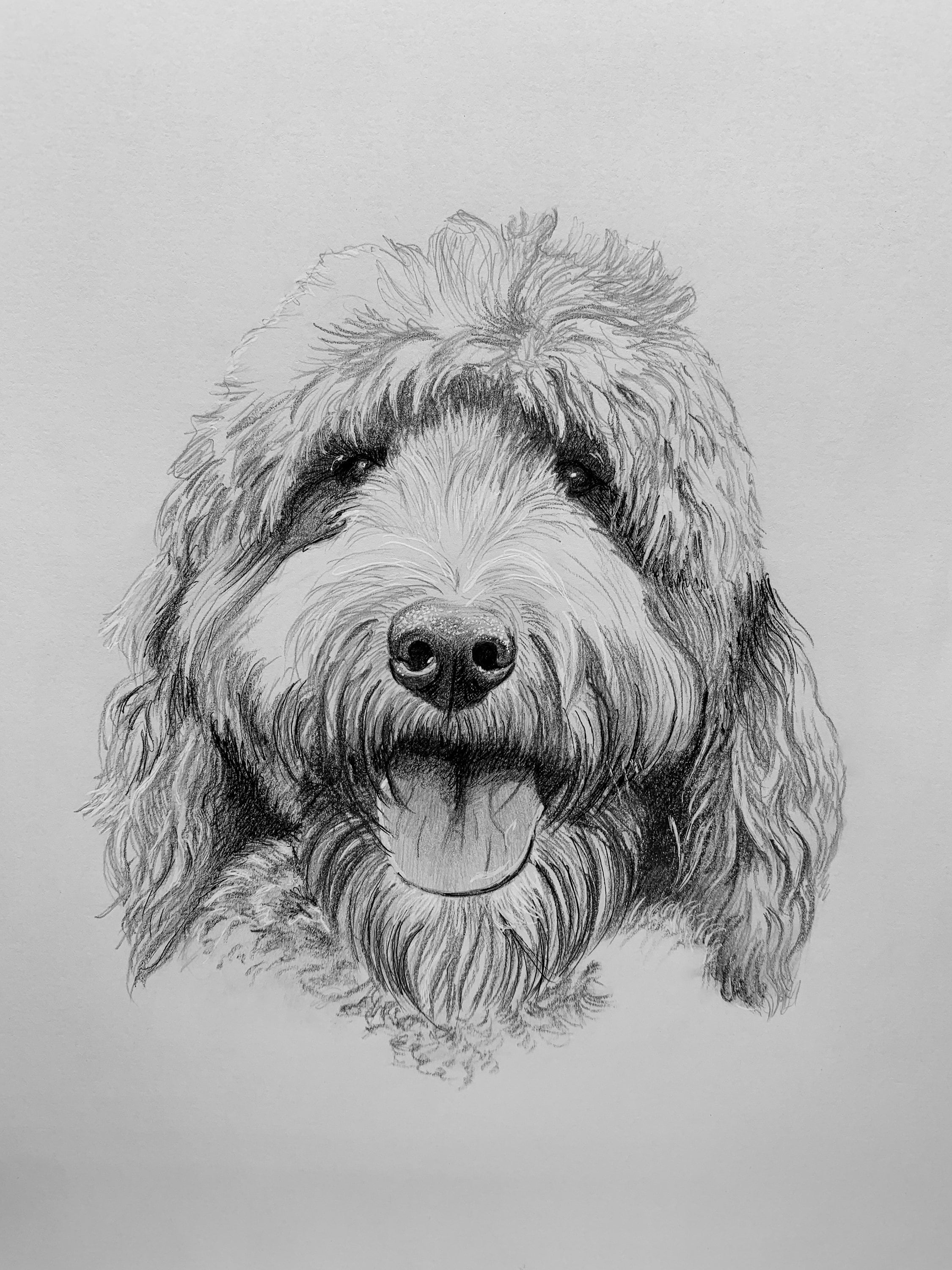 Easy Pencil Drawings Of Dogs