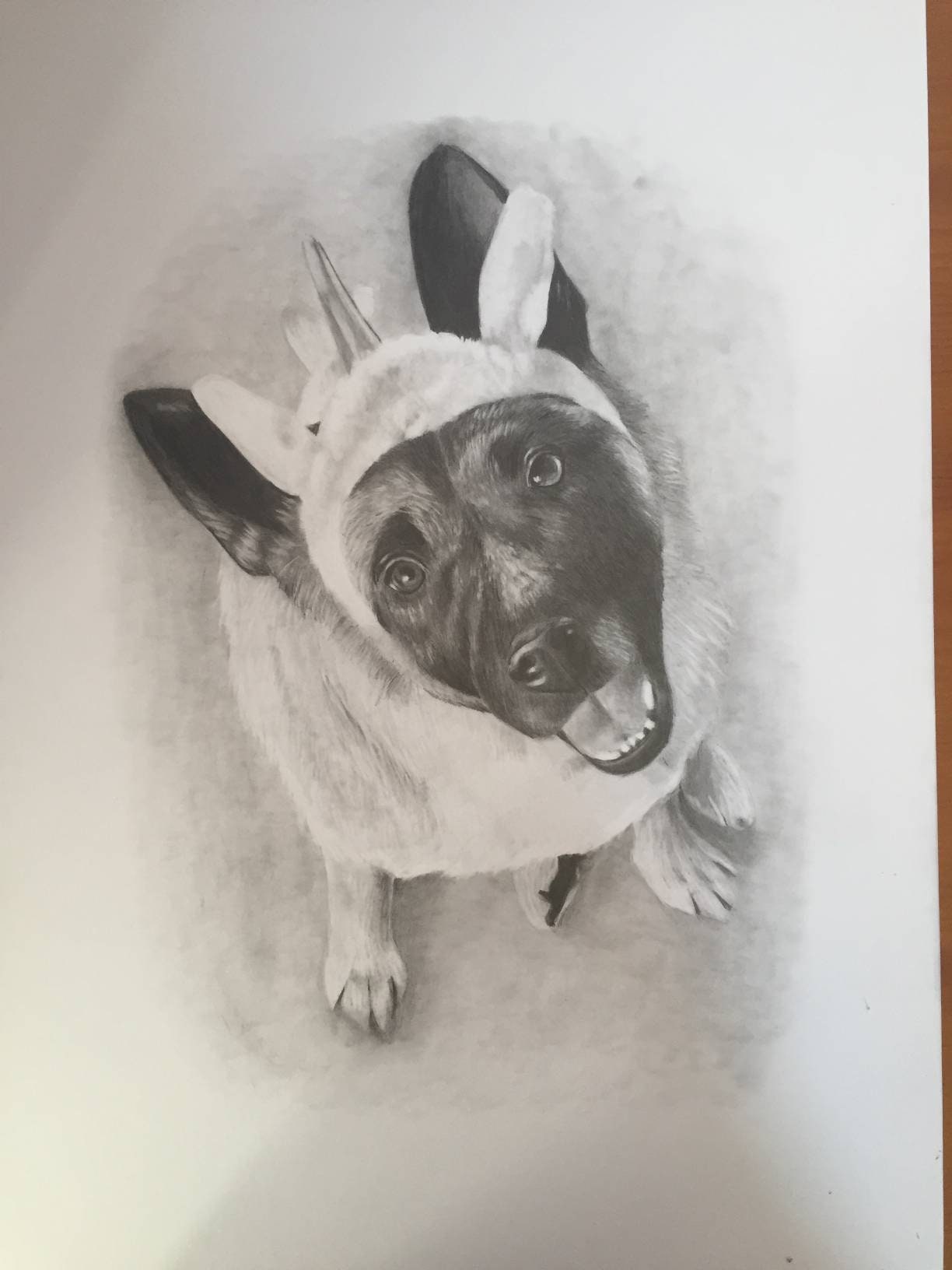 A4 Pencil Portrait From Your Photographs - Etsy