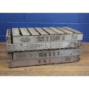 4 Vintage Retro Wooden Potato Chitting Trays or Bushel Boxes Storage ...