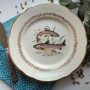 Set of Six 1950s Fish Plates. Vintage French Fish Plate Set. Fish ...