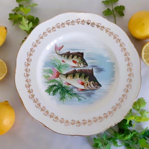 Six French, Digoin Porcelain, Fish Plates. 1960s Vintage French Fish ...