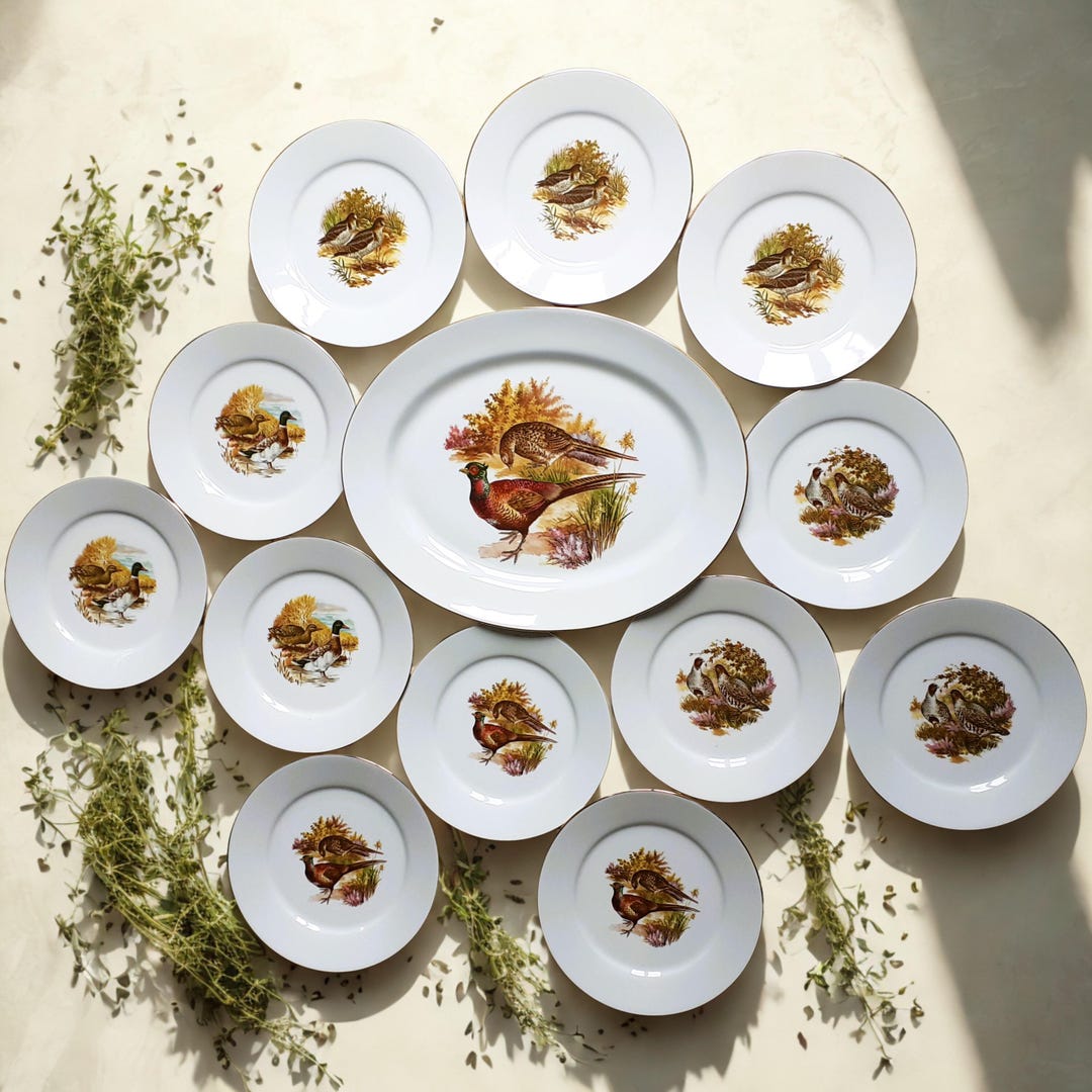 Vintage Limoges Game Bird Plate Set: French Porcelain Luncheon Plates ...