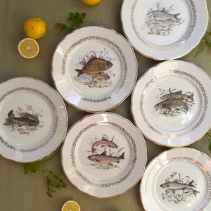 Set of Six 1950s Fish Plates. Vintage French Fish Plate Set. Fish ...