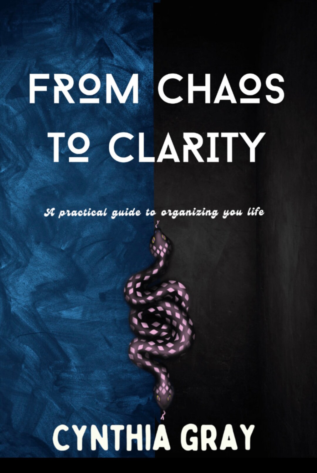 Custom E-book Covers for You / Professional Graphic Designer / Novelist ...