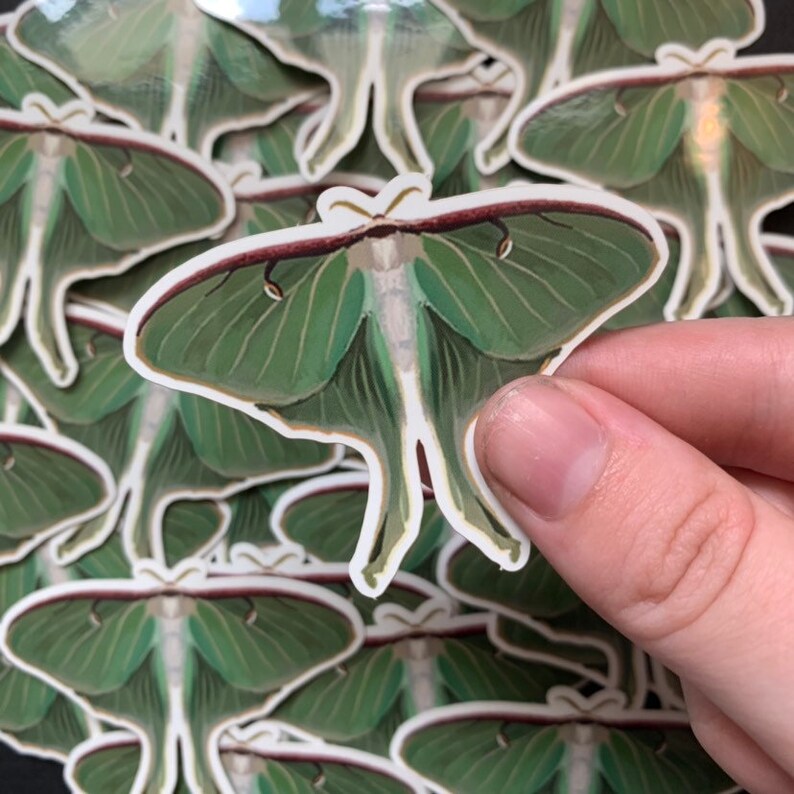 Luna Moth Sticker - Etsy