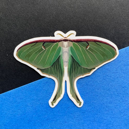 Luna Moth Sticker - Etsy