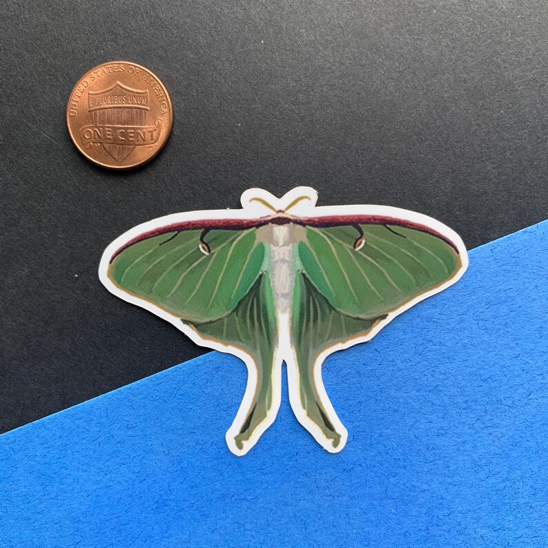 Luna Moth Sticker - Etsy