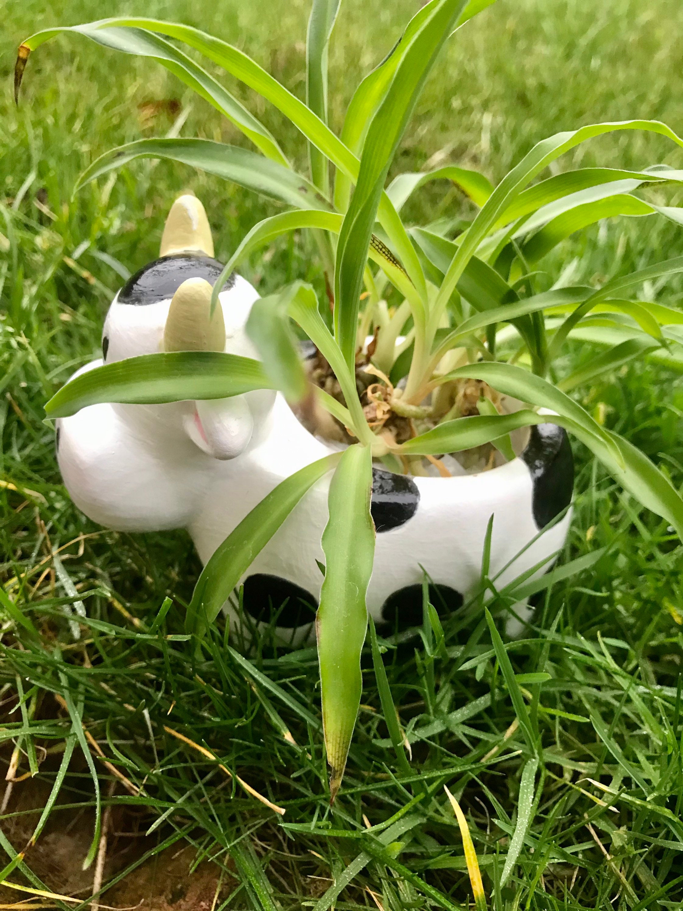 Cow Plant Pot Handpainted Cow Plant Pot Rustic Home Decor | Etsy