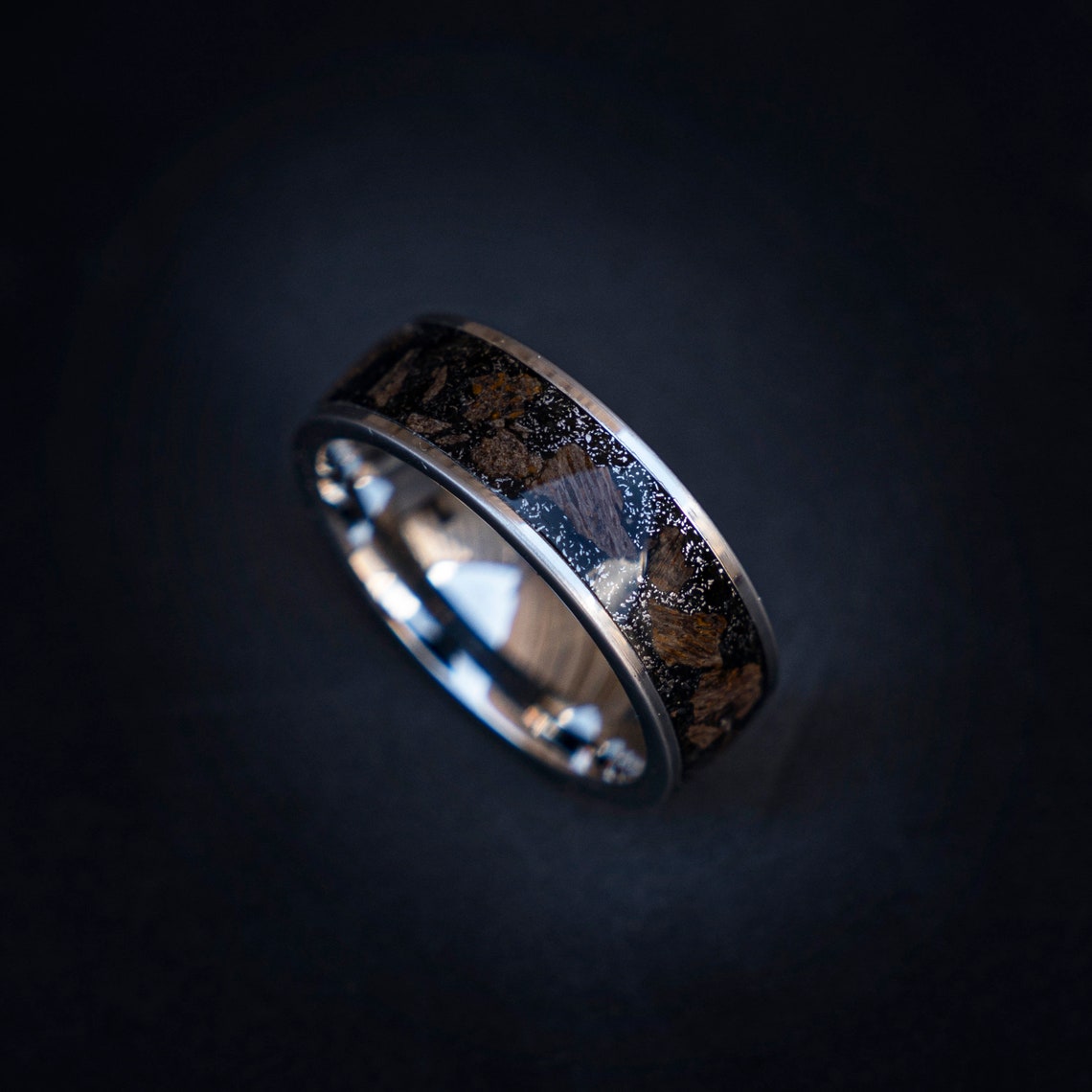 Triceratops Meteorite Ring, Dinosaur Bone, Mens Ring, Triceratops ...