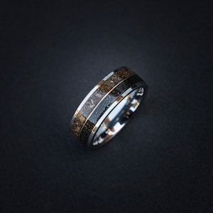 T-rex Dinosaur Bone Meteorite Engagement Ring, Meteorite Ring, Mens ...