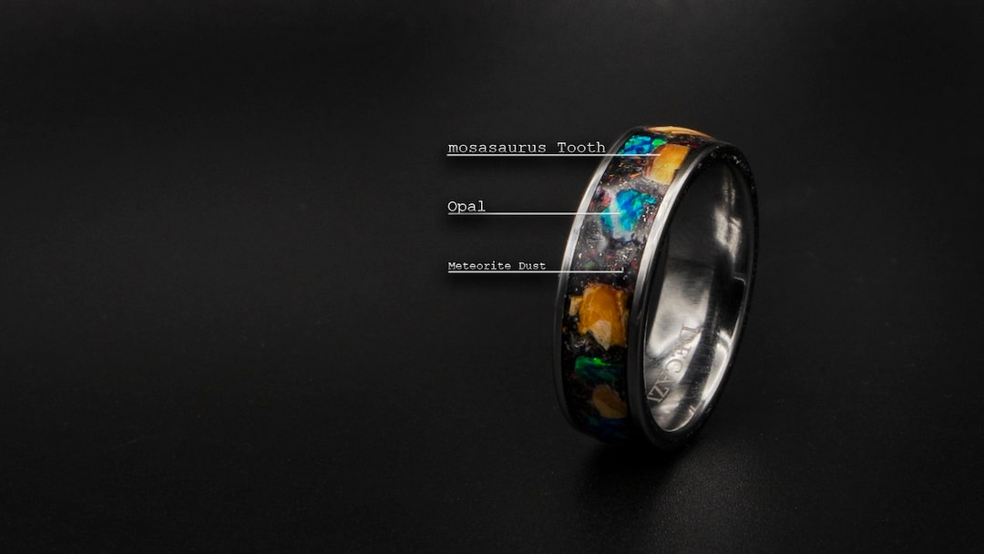 Mosasaurus Mens Ring, Meteorite Ring, Womens Engagement Ring, Black ...