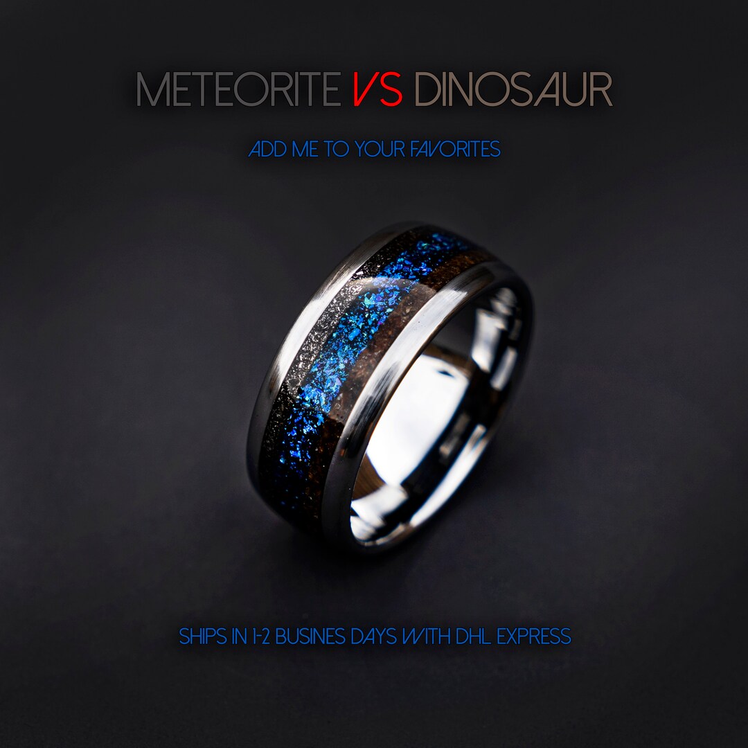 Dinosaur Bone, Mens Ring, T Rex Fossil, Tyrannosaurus Meteorite Ring ...