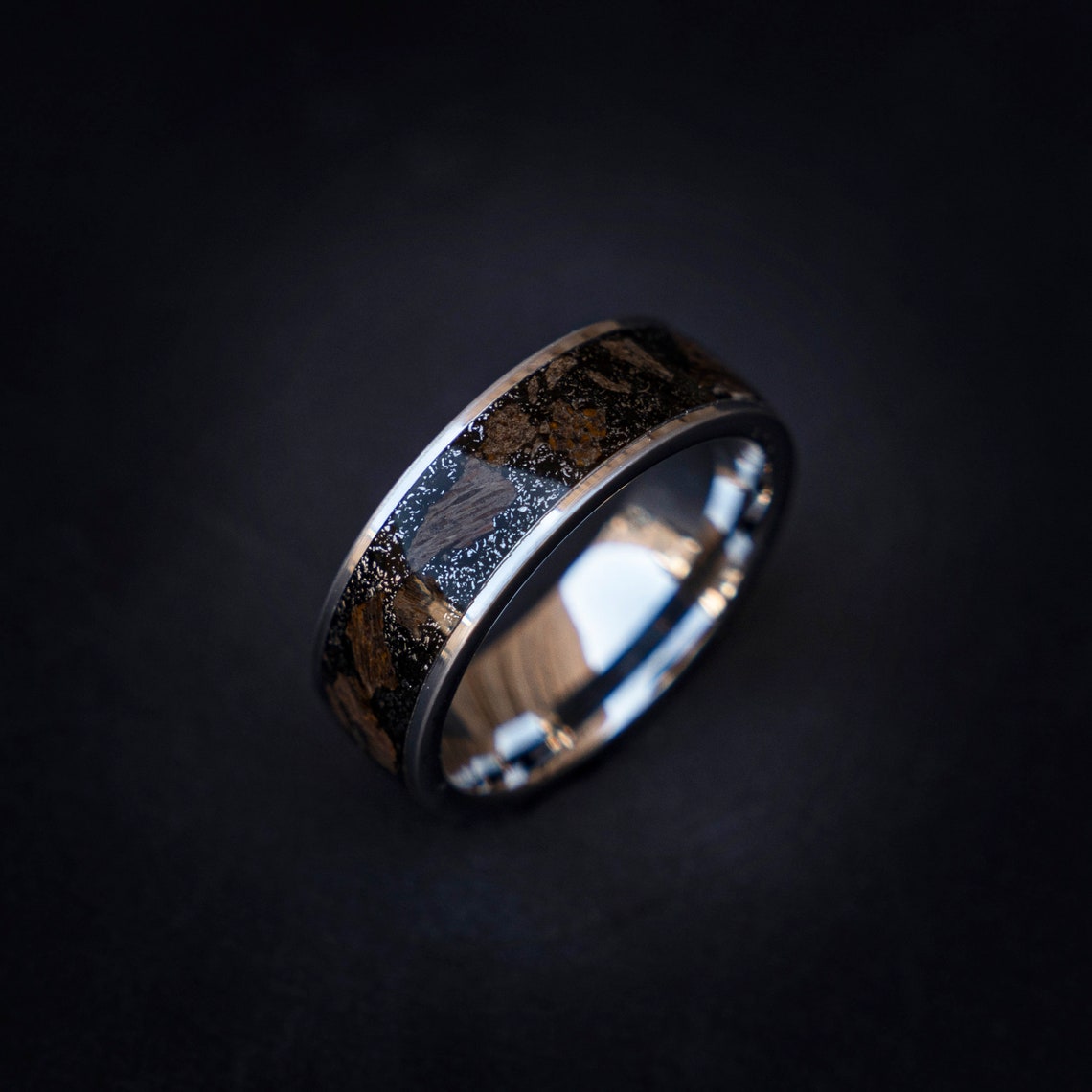 Triceratops Meteorite Ring, Dinosaur Bone, Mens Ring, Triceratops ...