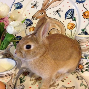 Hare Pottery Hand Painted Ceramic Plate - Etsy