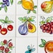 Fruit Tiles - Etsy