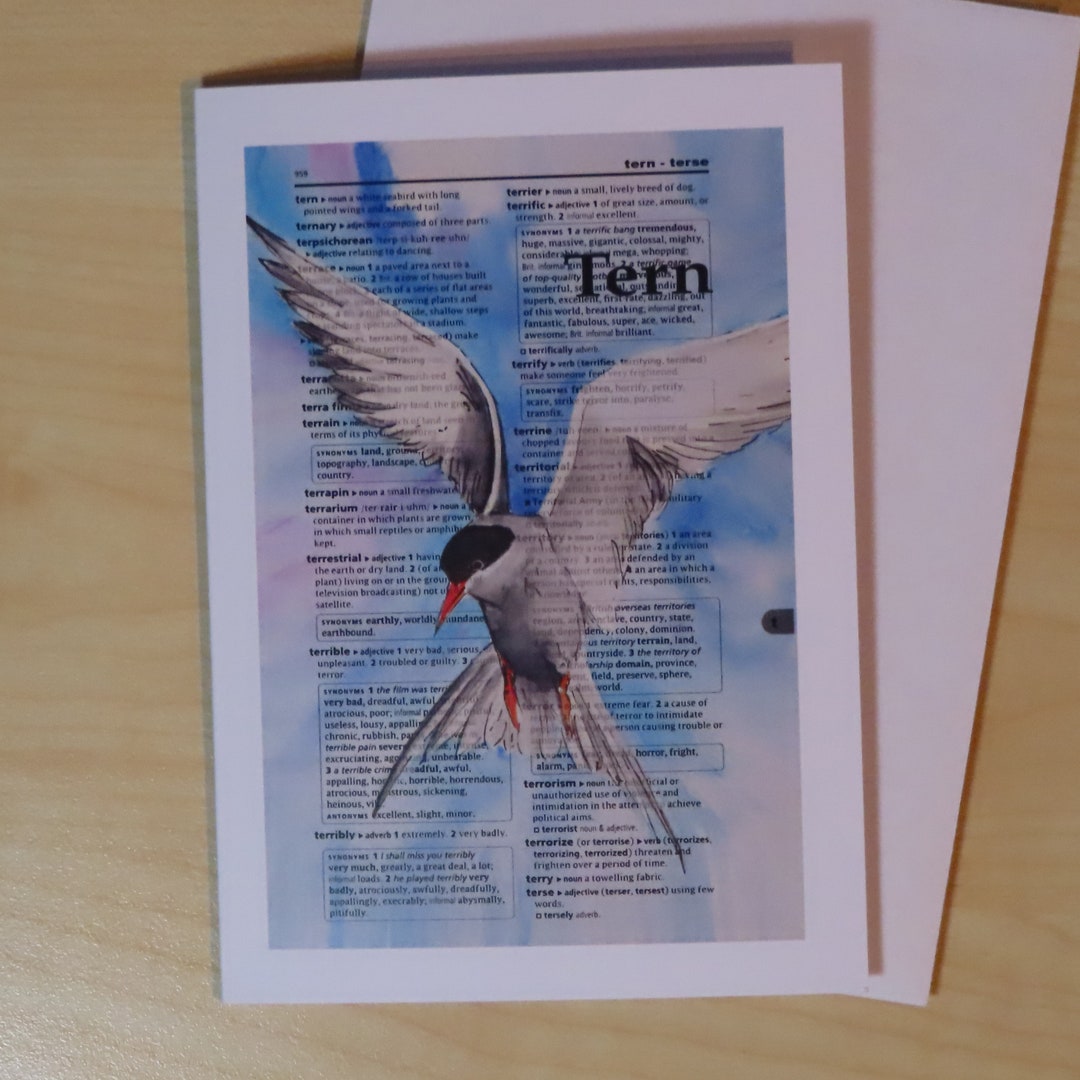 Tern Greetings Card, Thank You Card, Birthday Card, Arctic Tern ...