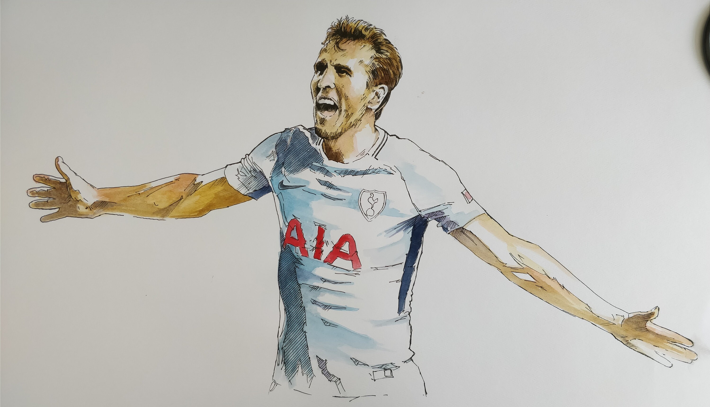 Harry Kane Limited Edition A4 Art Print | Etsy