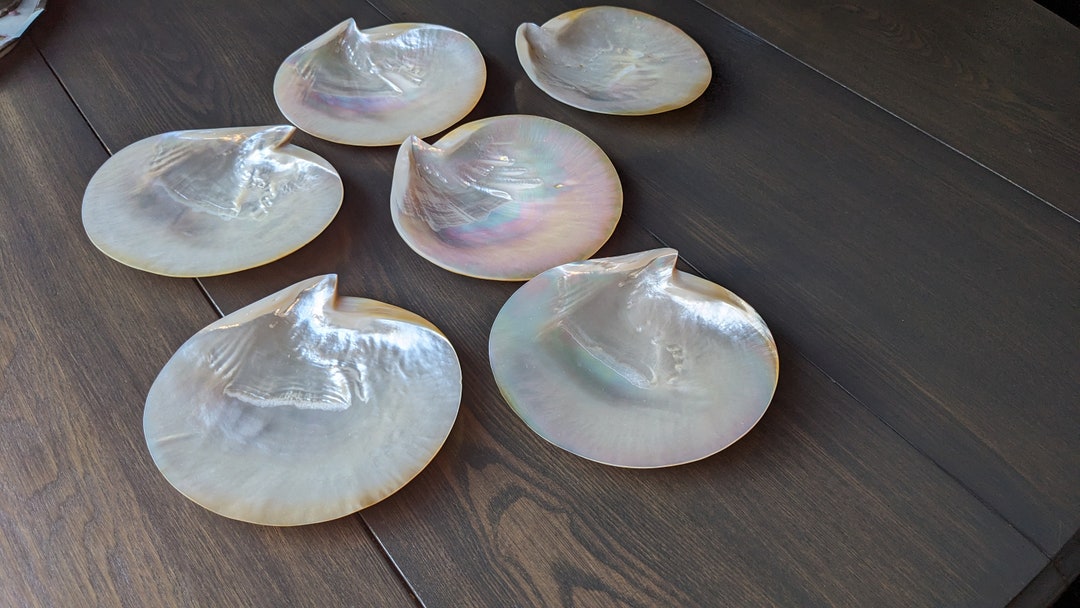 Set of 6 Natural Mother of Pearl Shell Plates - Etsy