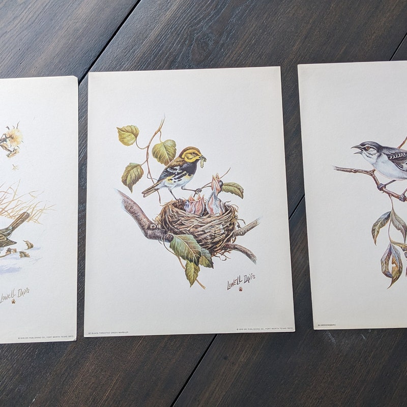 Lowell Davis - Etsy