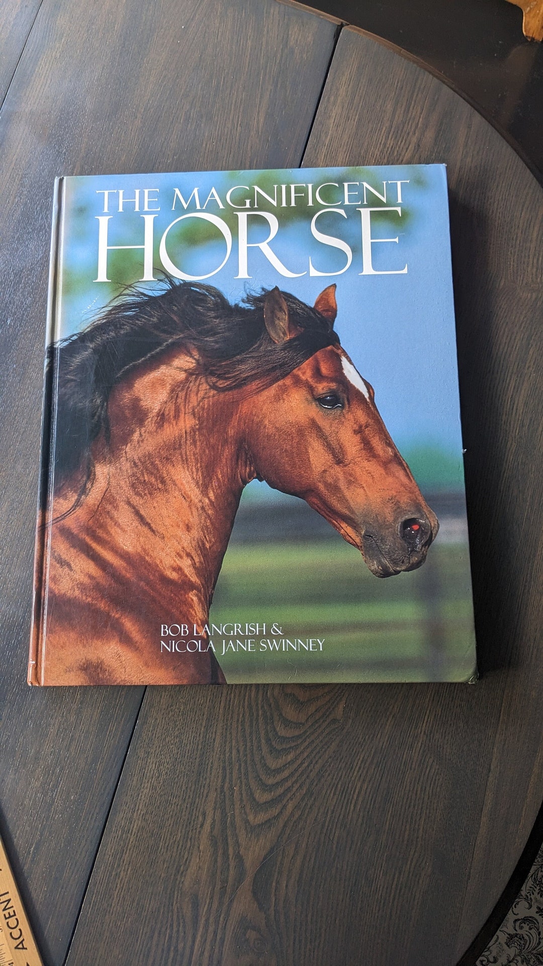 The Magnificent Horse, Langrish, Swinney Coffee Table Book - Etsy
