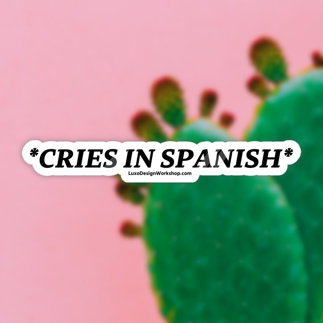 Cries in Spanish Meme Spanglish Funny Glossy 5 Die-cut Sticker - Etsy