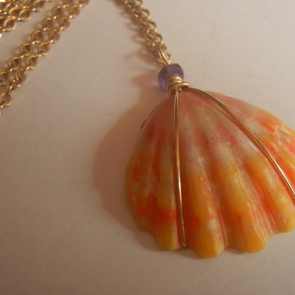 Sunrise Shells - Etsy