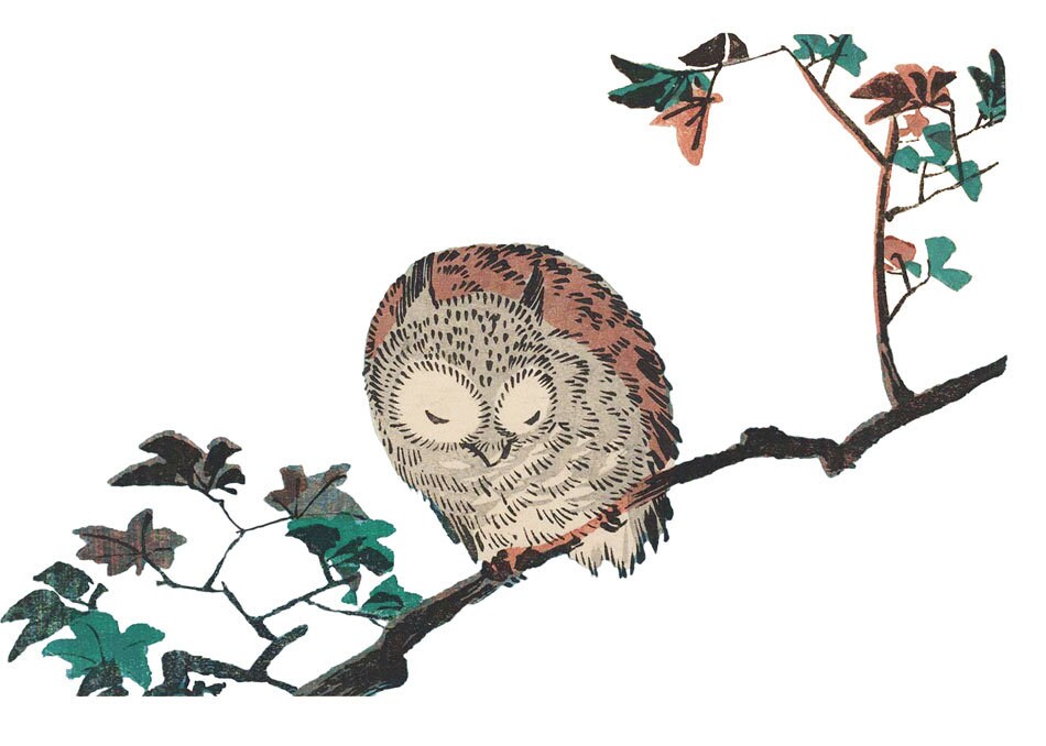 Hiroshige's Owl Japanese Ukiyo-e Print Art Shirt - Etsy