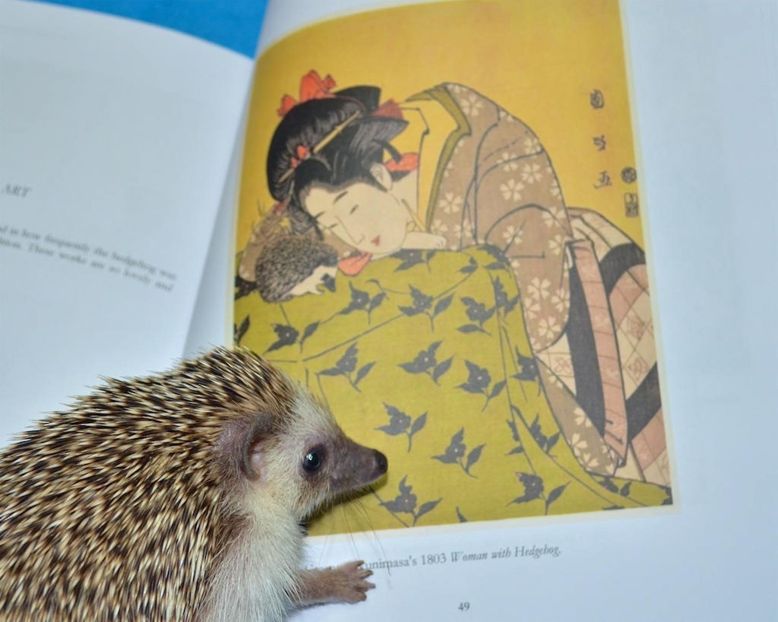 Japanese Hedgehog Art Poster: Utagawa Kunimasa's 1803 "woman With ...