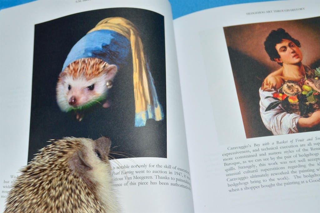 Japanese Hedgehog Art Poster: Utagawa Kunimasa's 1803 | Etsy