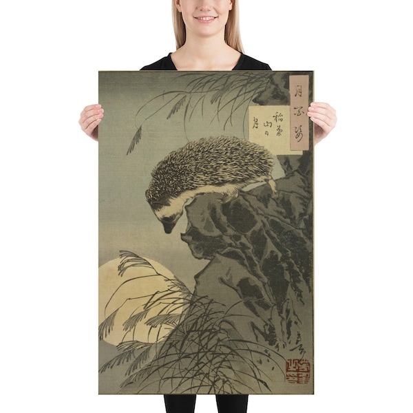 Hedgehog Poster - Etsy