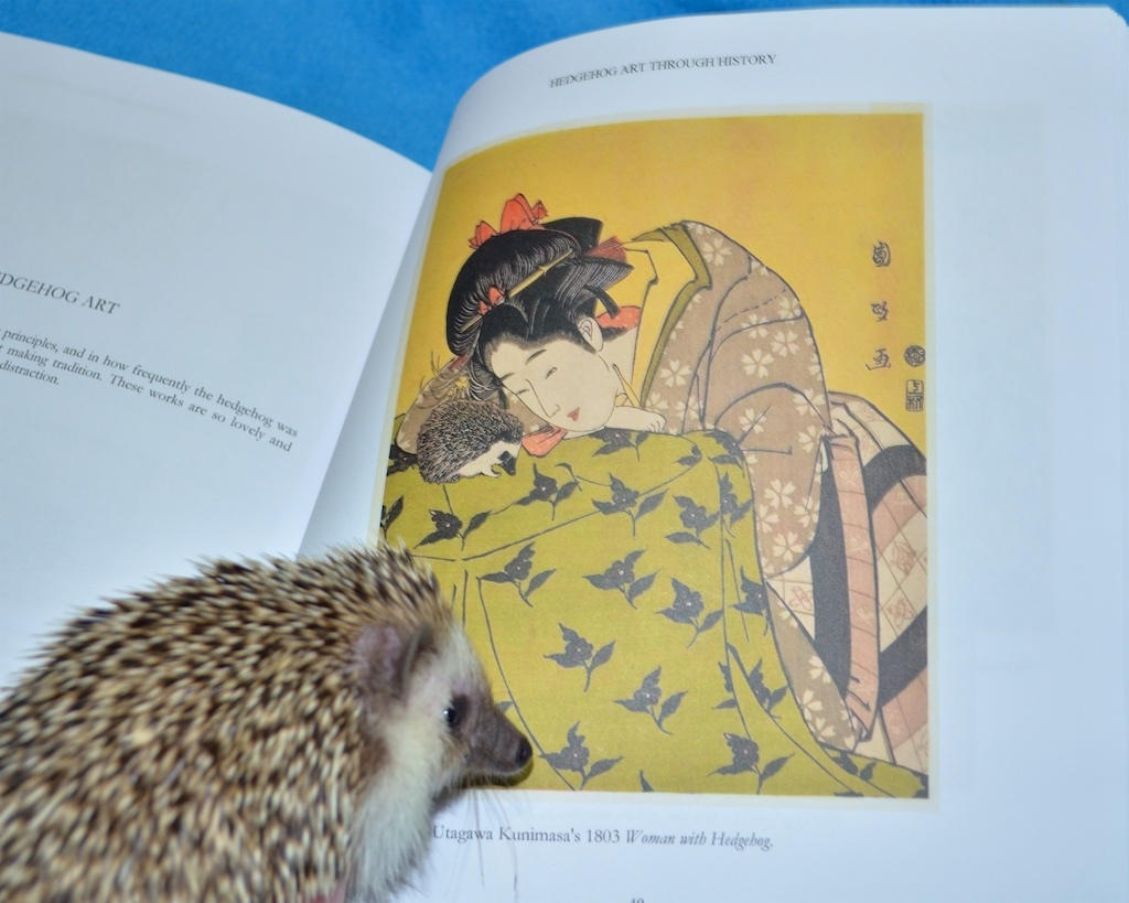 Cute Japanese Hedgehog Shirt: Taiso Yoshitoshi's "hedgehog Princess ...