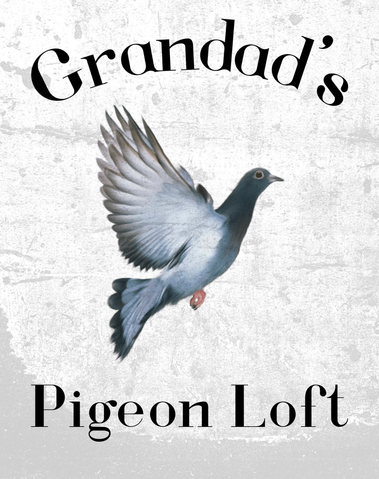 Personalised Pigeon Loft Sign Weather Proof Pre Drilled High Gloss Cage ...