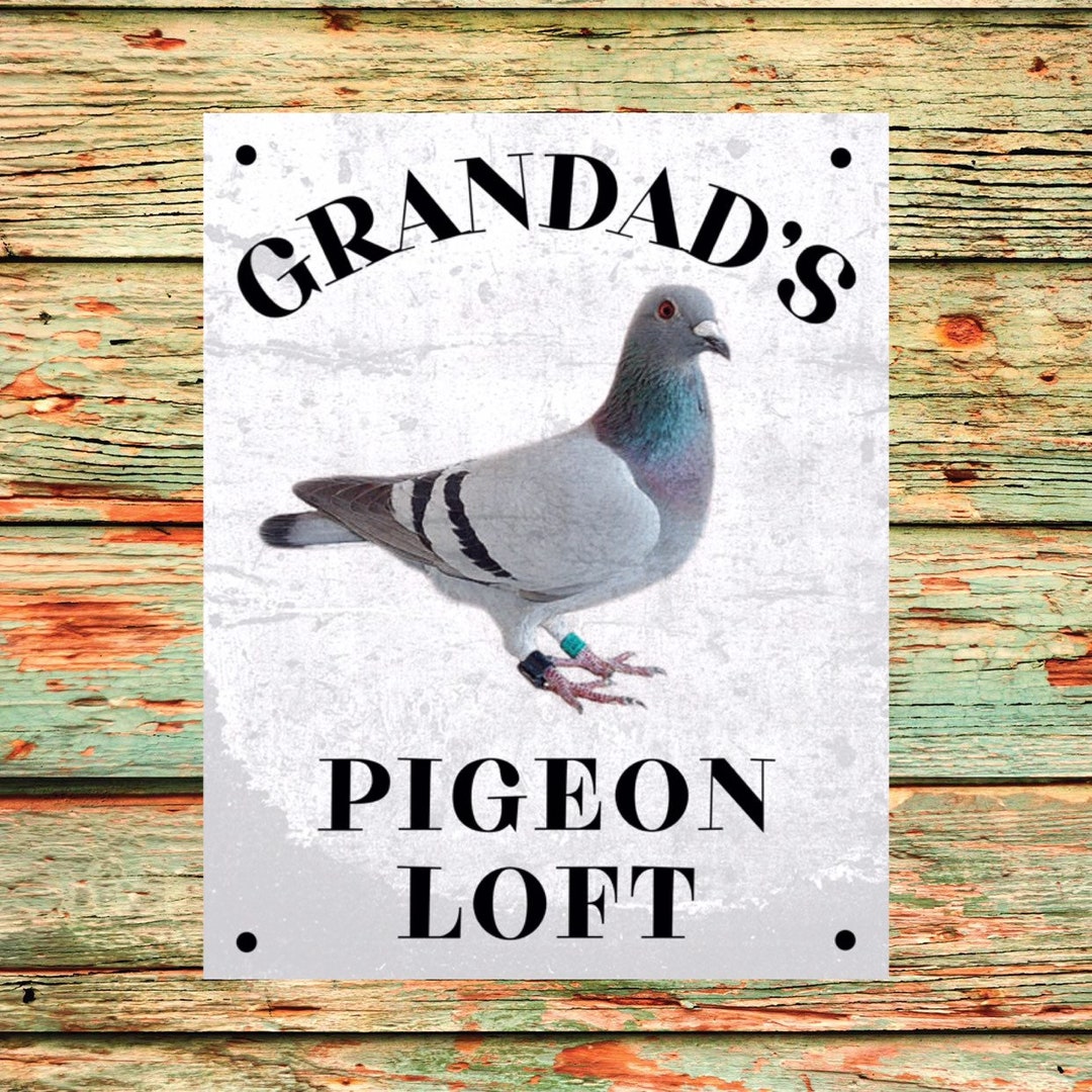 Personalised Pigeon Loft Sign Weather Proof Pre Drilled High Gloss Cage ...