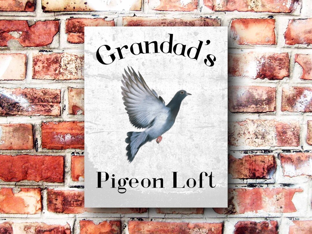 Personalised Pigeon Loft Sign Weather Proof Pre Drilled High Gloss Cage ...