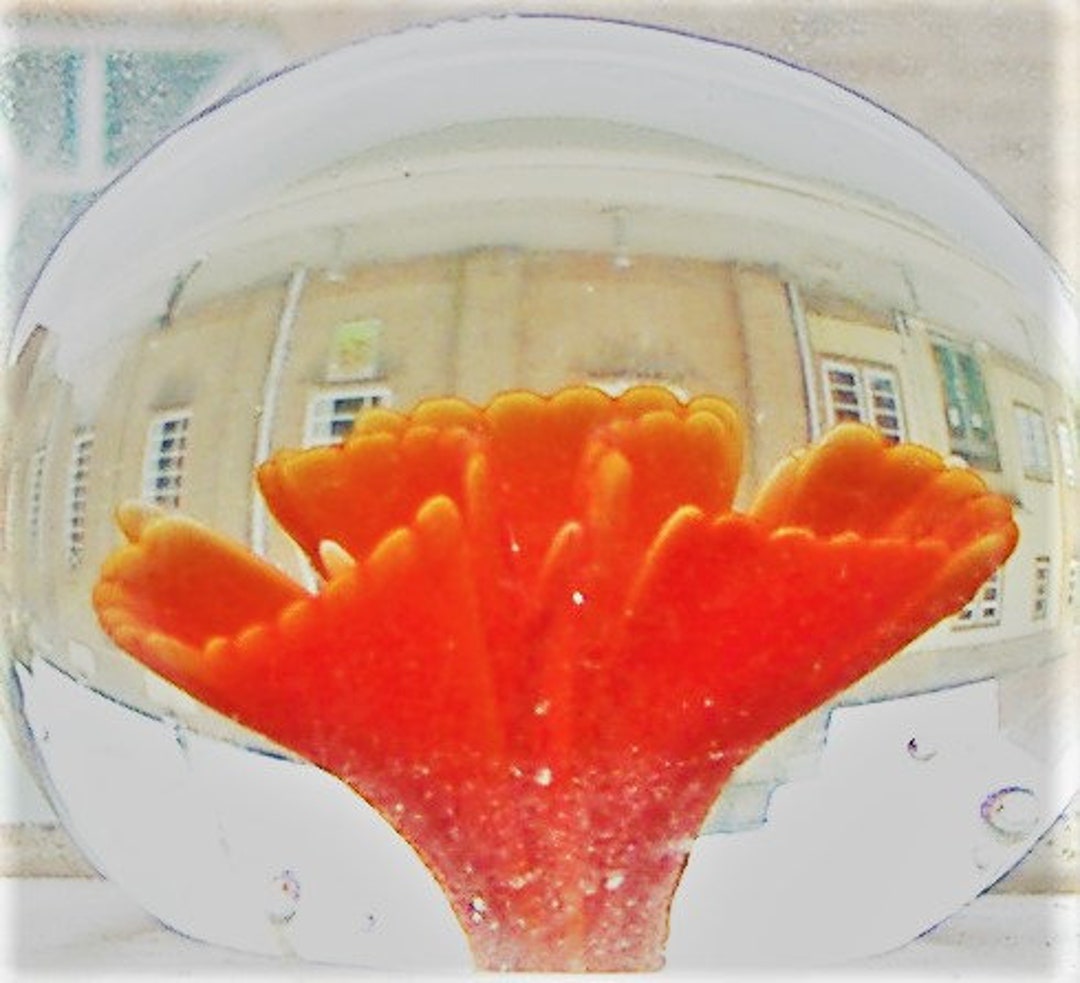 PRETTY PAPERWEIGHT ORANGE and Clear Glass - Etsy
