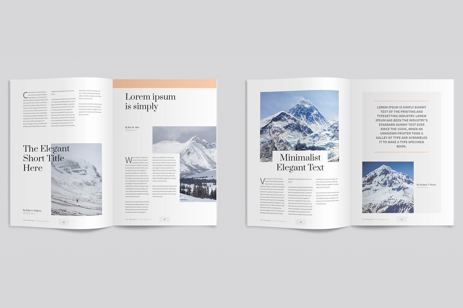 Plantilla de revista inDesign / Diseño de revista minimalista ...